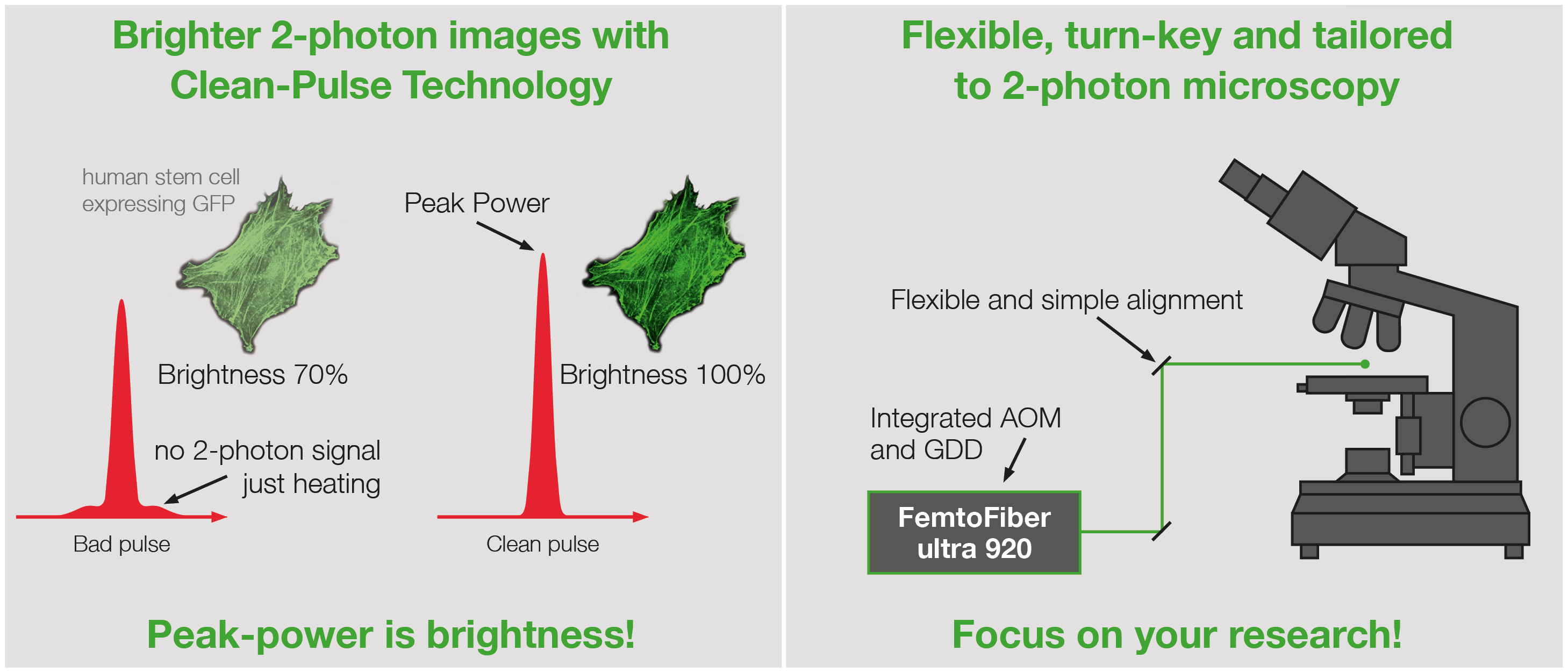 Femtosecond fiber laser for 2-photon microscopy and neuroscience